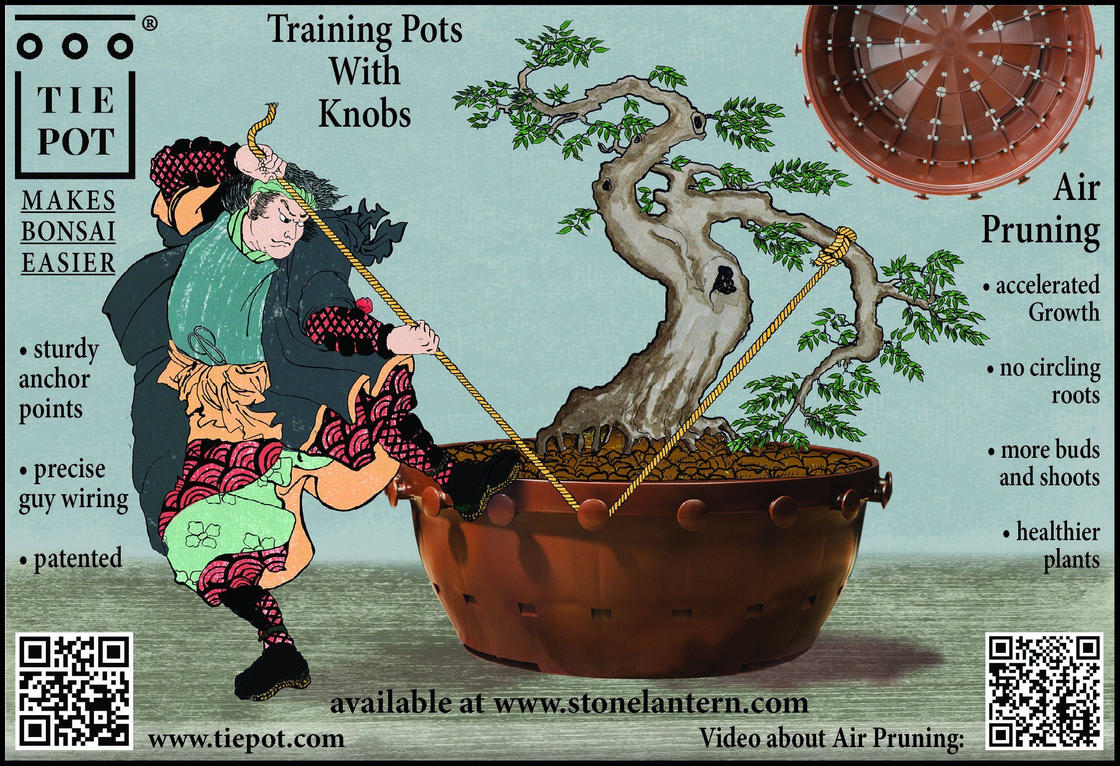 A Step-by-Step Guide to Crafting a Stunning Juniper Bonsai