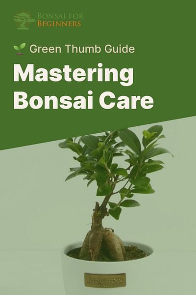 How To Take Care Of Bonsai Ficus Microcarpa Ginseng